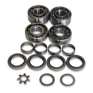 Category: Blower (Roots Type) & Components