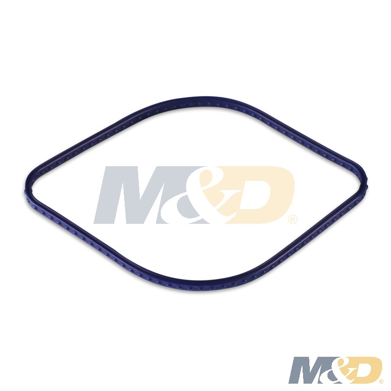 Product: OIL SEAL DIAMOND CAMSHAFT THRUST PLATE 2 BOLT SERIES 60