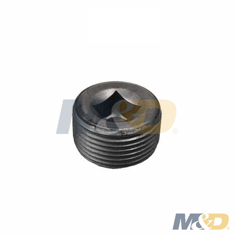 Product: PLUG 1/2' NPTF SQUARE SOCKET S60